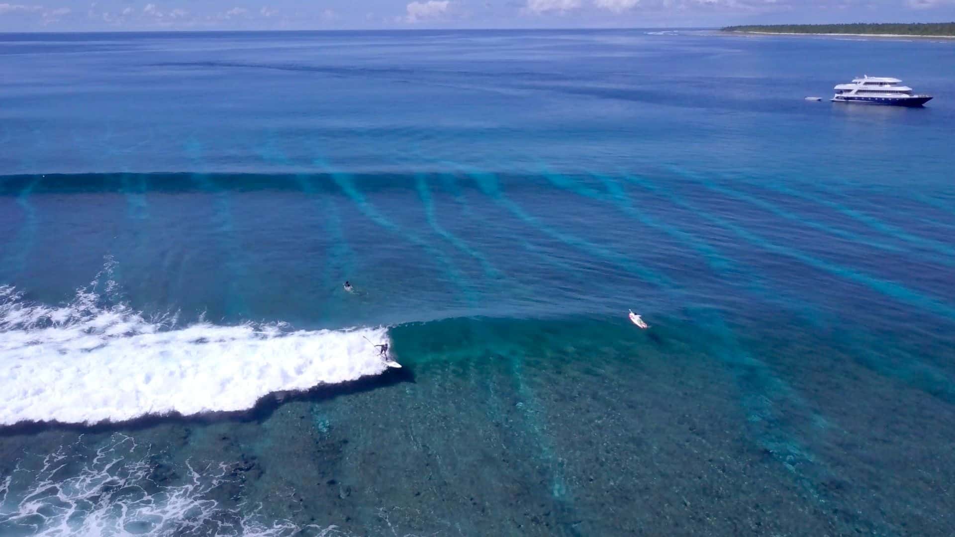 SUP Surf Travel & Ocean Discovery